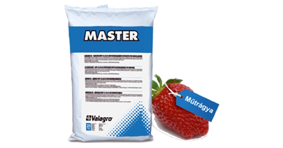 Master 20+20+20 25 kg - Műtrágya, termésnövelő anyagok - Vitivető ...