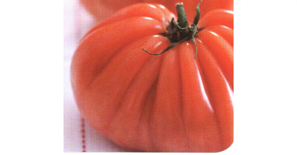 Rugantino RZ F.1 100 szem - Paradicsom. - Vitivető vetőmag webáruház