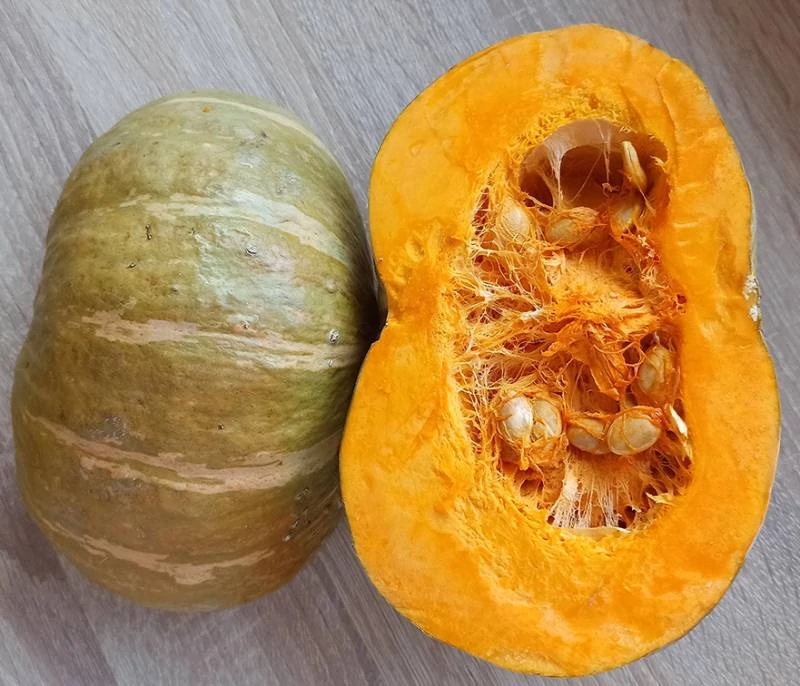 Giselle F.1. 1,000 szem - Tök, patiszon - Vitivető vetőmag webáruház